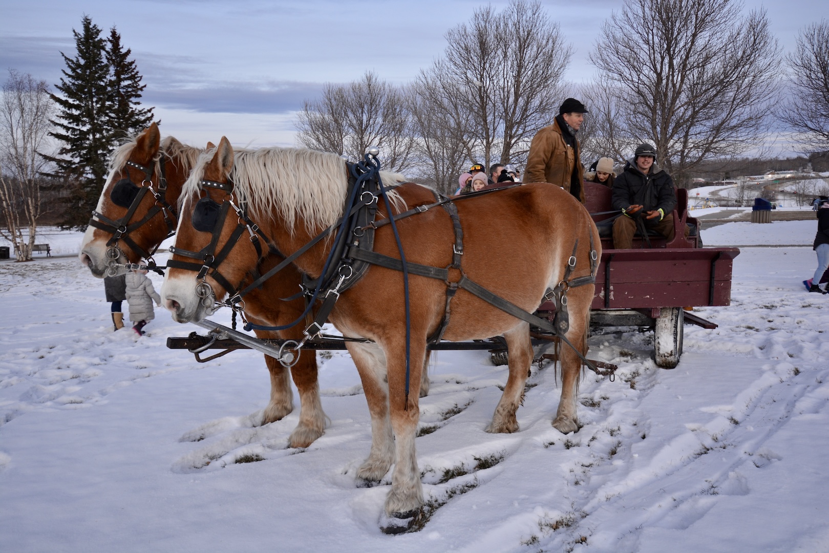 Events Calendar | Athabasca Region Tourism